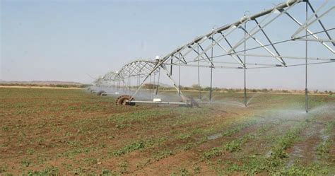 Eritrea Hosts The Next General Assembly Of Asareca Madote