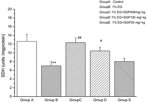 Effect Of Sgp On Mitochondrial Sdh Activity In Experimental
