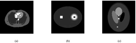 The Synthetic Phantoms Used In Computer Simulations A Phantom 1 B