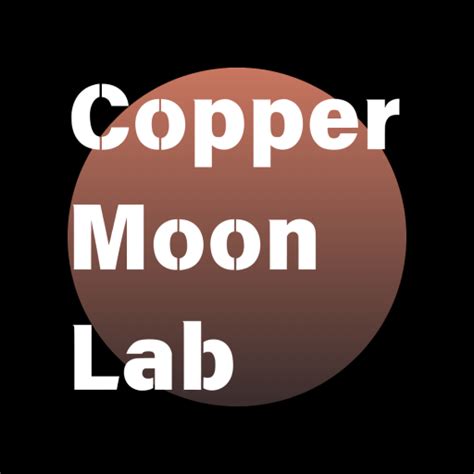 Copper Moon Lab The Creative World Of Blue Copper Who Loves Coding