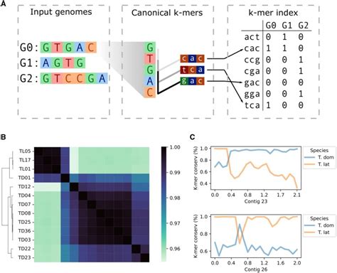 Pankmer K Mer Based And Reference Free Pangenome Analysis Pmc