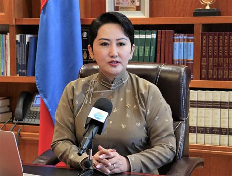 全球连线 “蒙中两国在抗击新冠疫情方面的合作堪称典范”——访蒙古国外长巴特策策格 新华网