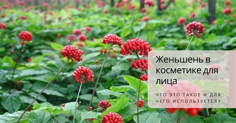 Корейская косметика NATUREL