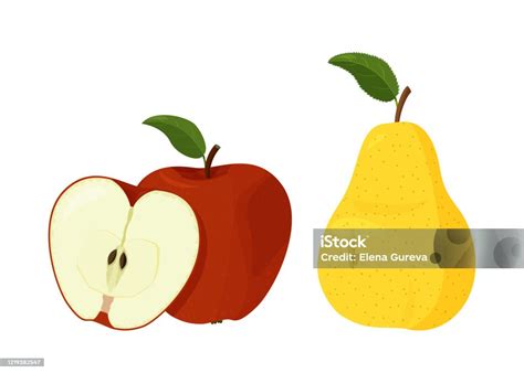 녹색 잎신선한 노란색 배와 붉은 사과 흰색 배경에 고립 된 과일 Pyrus Nivalis에 대한 스톡 벡터 아트 및 기타 이미지