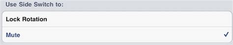 Orientation Lock And Mute Button Side Switch Toggle For Ipad In Ios 43