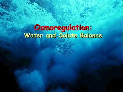 Osmoregulation Water And Solute Balance Ppt