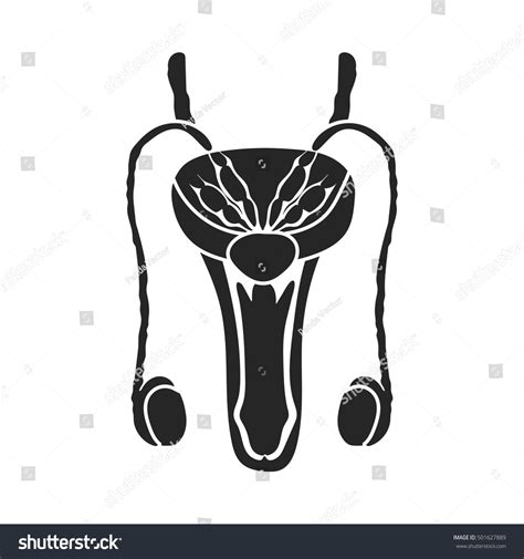 Male Reproductive System Icon Black Style Stock Vector Royalty Free