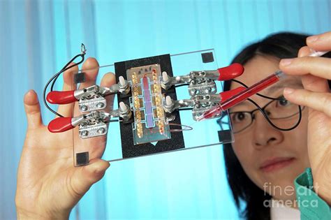 Lab On A Chip Photograph By Volker Steger Science Photo Library Pixels