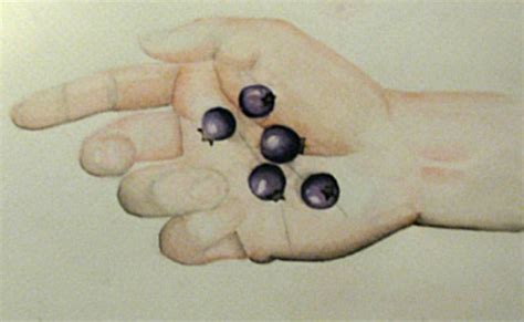 Nightlock Berries Real