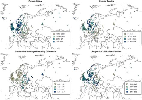 descriptive mapping of the variables selected for clustering