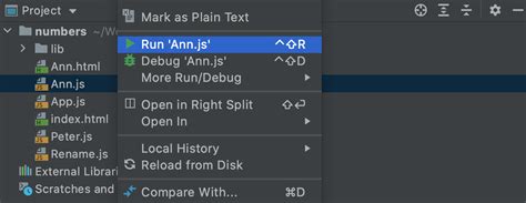 Run Applications Webstorm