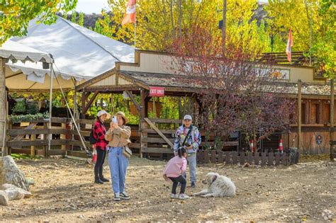 Yucaipa Ca City Guide About Living In Yucaipa