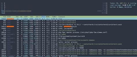 Abdelmadjid Cherfaoui On Linkedin Docker Nginx Reverseproxies Devops