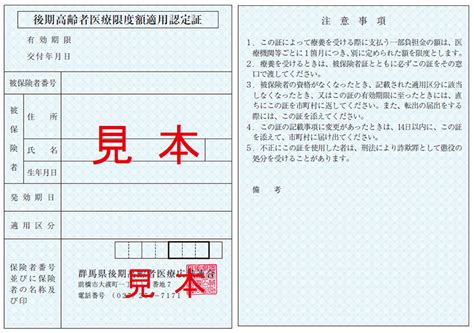 保険証 色の意味 Hoken Nays