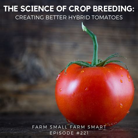 The Science Of Crop Breeding Creating Better Hybrid Tomatoes Fsfs221