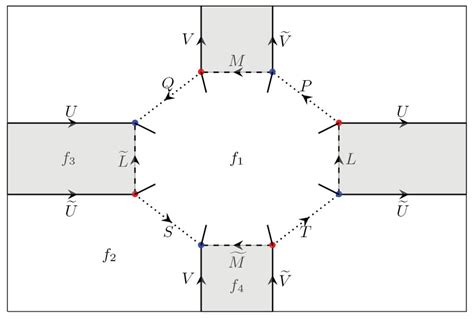 Ciliated Fat Ribbon Graph Or Fatter Graph For Short On The Torus