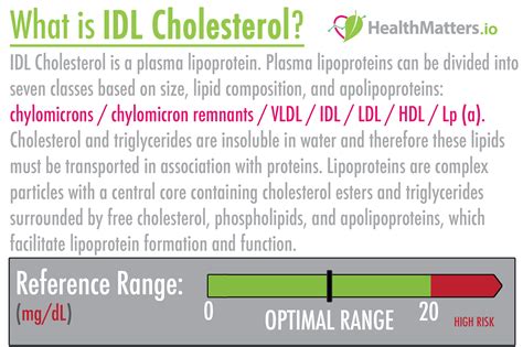 What Is Idl Cholesterol High And Low Values Lab Results Explained