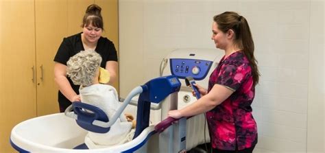 Program To Create Major Increase In Personal Support Worker Training News Detail