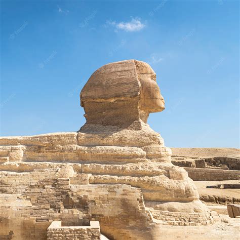 Premium Photo Sphinx Egypt Portrait Portrait Of Great Sphinx Of Egypt