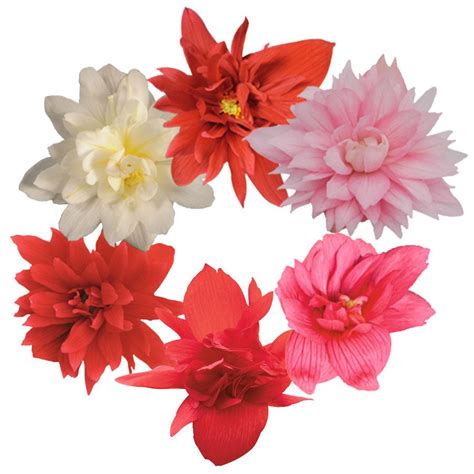 Begonia Funky Mix F1 Seed Harris Seeds