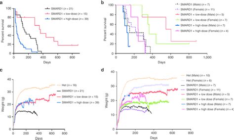 Intracerebroventricular Icv Injection Of Aav9 Ighmbp2 In Low Dose