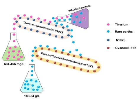 Th Separation With N1923 And Ree Enrichment With Cyanex ® 572 74