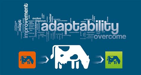 Feeding Cows For Adaptive Capacity In The Transition Period Pancosma