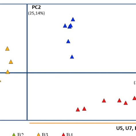 principal component analysis pca score plot of root extracts from