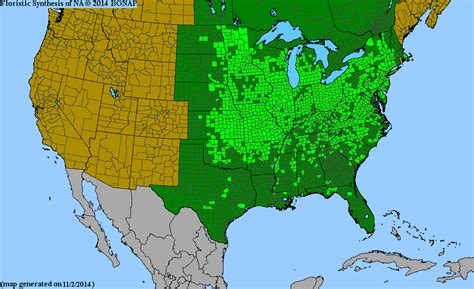 2013 Bonap North American Plant Atlas Taxonmaps