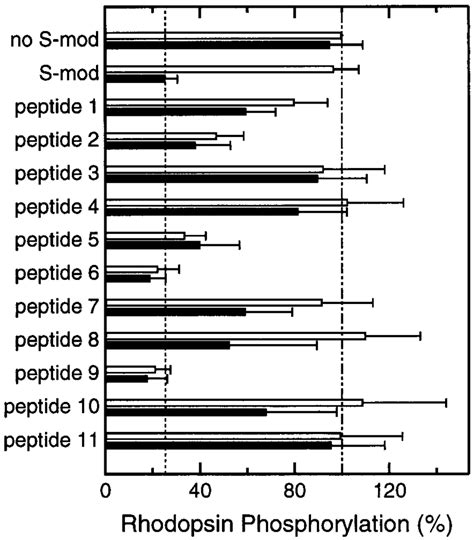 Effects Of The Synthetic Peptides Of S Modulin On Rhodopsin