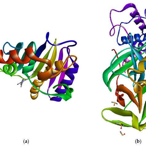 2d Interaction Of Mt With The Amino Acid Residues Of E Coli Dna Gyrase