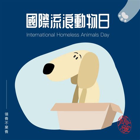 鮮寵一番 🐾 又到了一年一度的 🐾 國際流浪動物日🐶 為了讓毛孩不再飢寒交迫、受風吹雨淋。