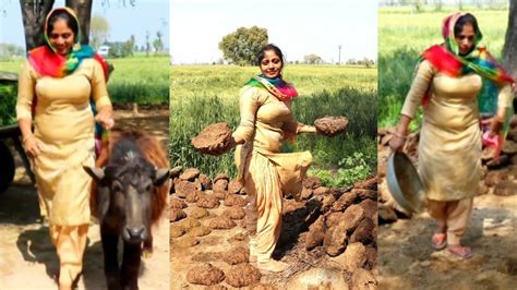 My Daily Working Routine Punjab Village Life India Youtube