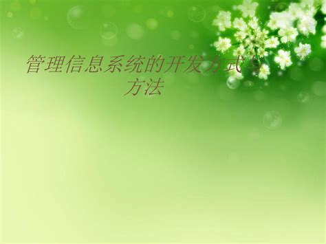 管理信息系统的开发方式与方法 2 优秀课件 Word文档在线阅读与下载 免费文档