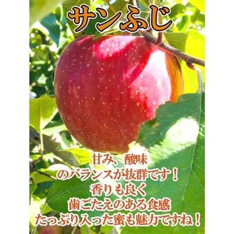 11月下旬 特選 贈答 りんご サンふじ 減農薬 長野県産 5キロ Su Eat Farm 通販 Yahooショッピング