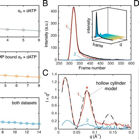 Deconvolution Of Bs Rnr Conformational Transition Observed By Saxs