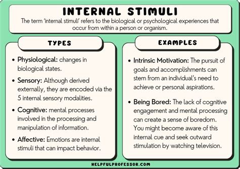 Internal Stimuli Examples And Definition 2025