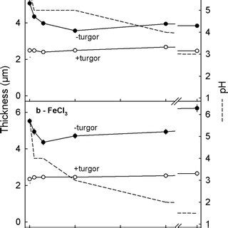 A Effect Of The Concentration Of Cacl At Ph Ph Or Ph On Download Scientific