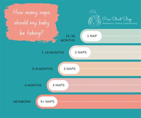 Navigating Nap Transitions — Pine Street Sleep Llc
