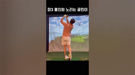 홀인원 한번만 하고싶은 남편 골프스윙 아이언스윙 Shorts Youtube