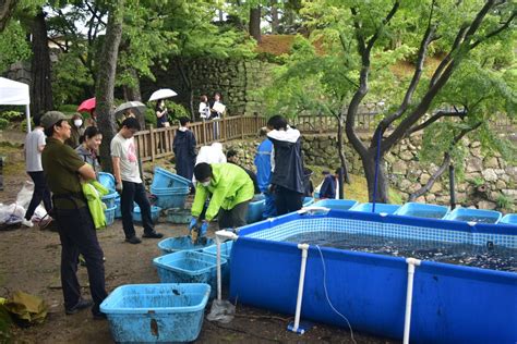 「緊急sos！池の水ぜんぶ抜く大作戦」の撮影を支援しました！｜新着情報｜岡崎フィルムコミッション