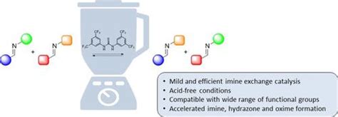 动态共价体系中亚胺交换的氢键催化。chemistry A European Journal X Mol