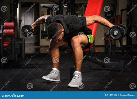 Reverse Fly On Bench