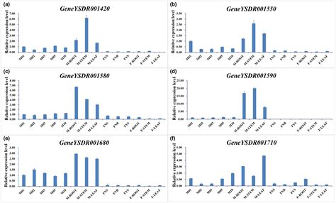 A Rapid Method For Assembly Of Single Chromosome And Identification Of