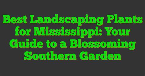 Best Grass Types For Lawns In Wisconsin A Guide To Choosing The Right