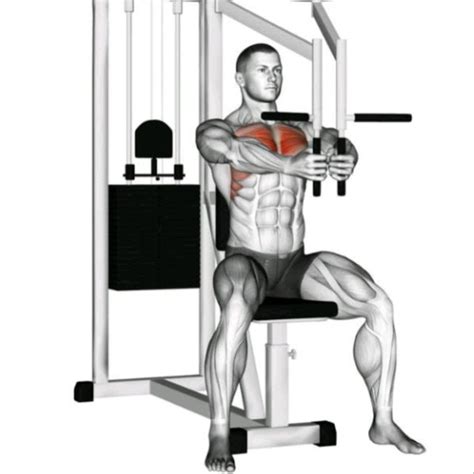 Chest Fly Exercise How To Workout Trainer By Skimble