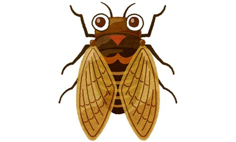 セミ蝉の無料フリーイラスト 咲くっとイラストさくっといらすと