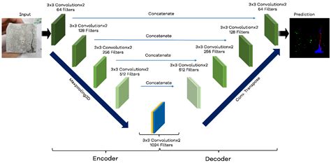 Multiclass Segmentation of Concrete Surface Damages Using U-Net and DeepLabV3+