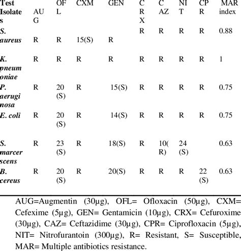 Susceptibility Of Bacterial Isolates To Standard Antibiotics Zone Of Download Scientific