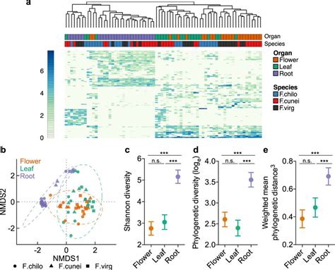Plants Harbor Distinct Above And Belowground Microbiomes A A Heat Download Scientific